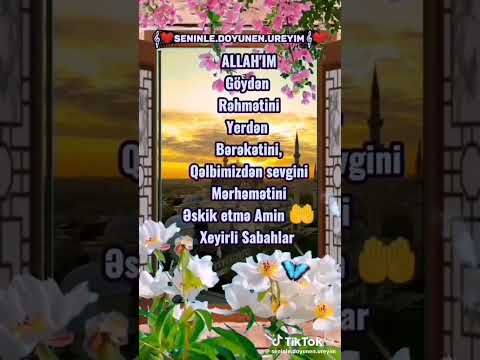 amin Allah 🤲 #dinistatuslar #dinivideolar
