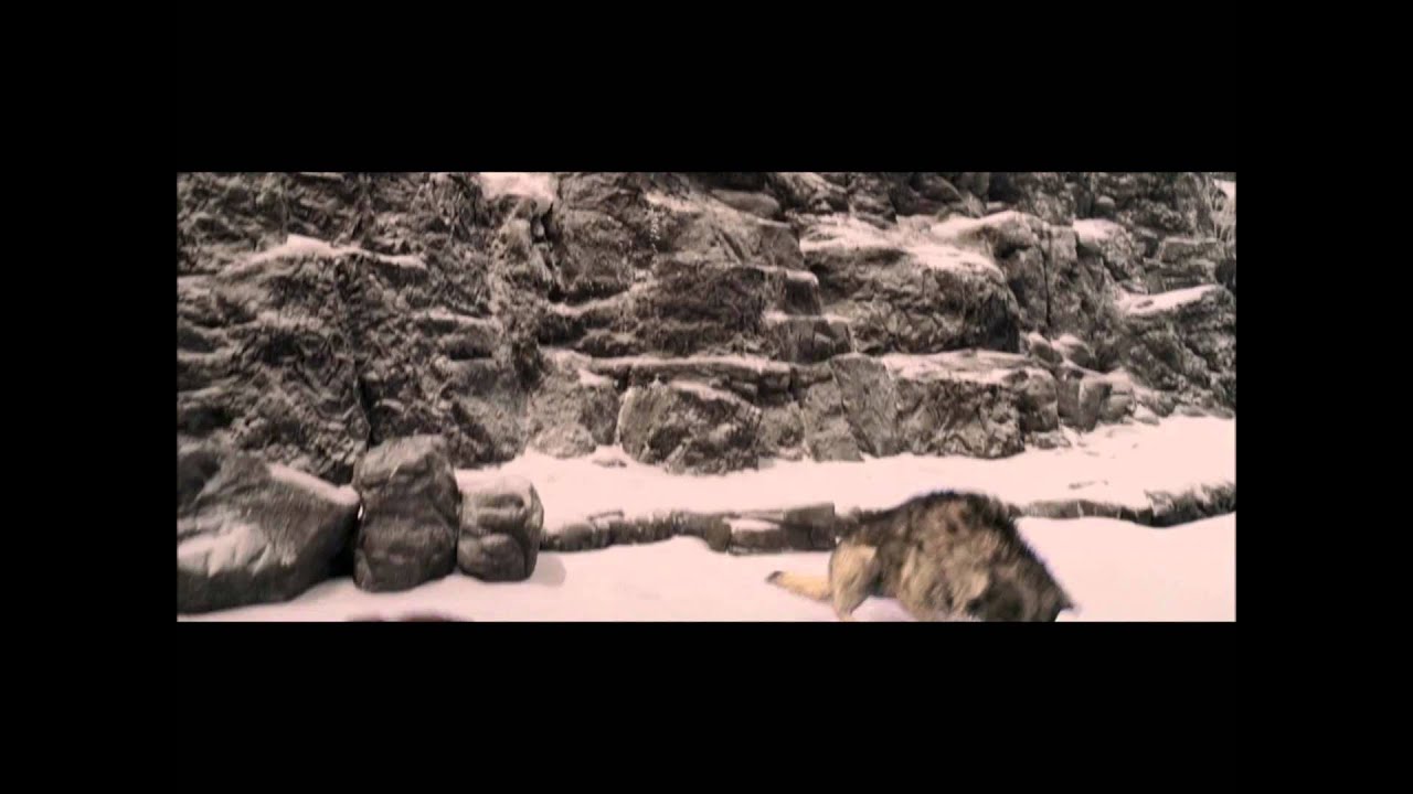 (Narnia) Maugrim || You're Going Down - YouTube