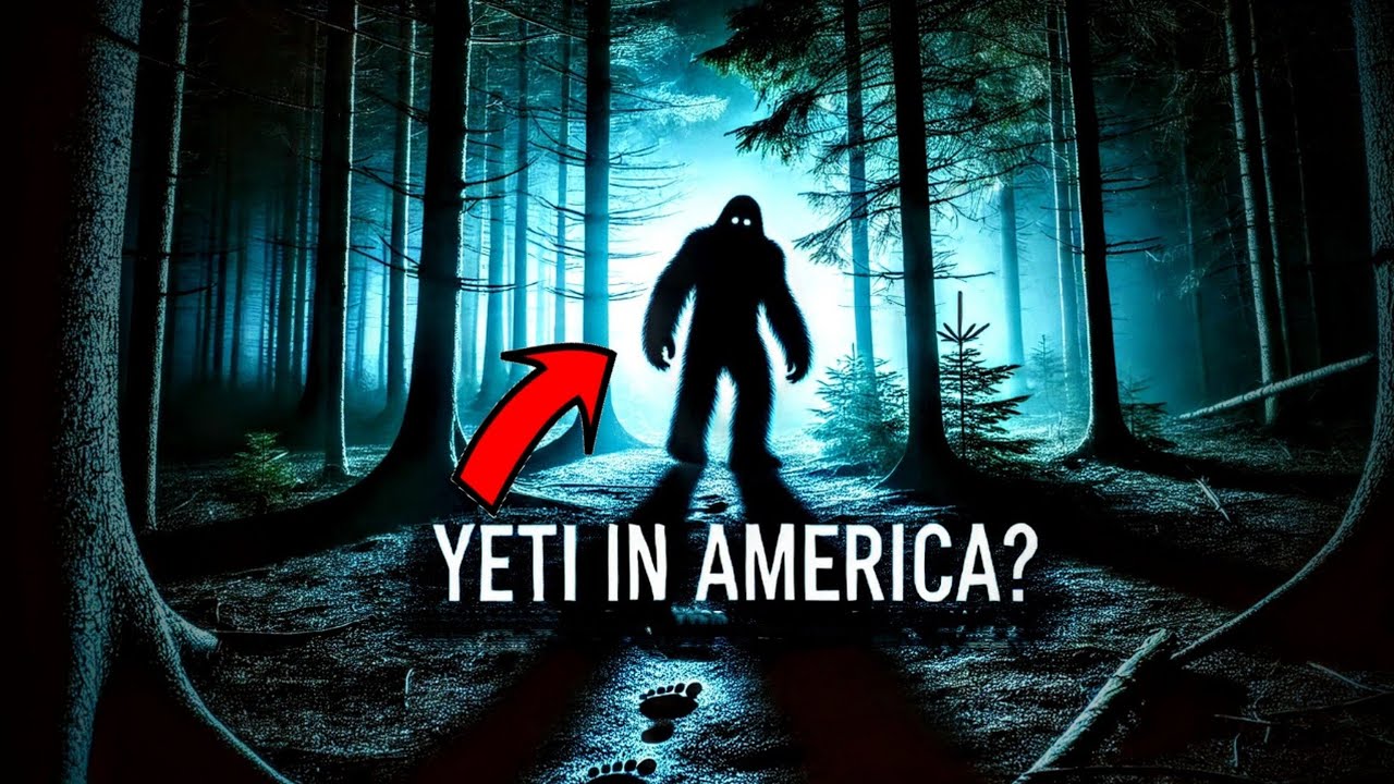Yeti in America? 5 Chilling Clues That Prove It’s Hiding in MAINE ...