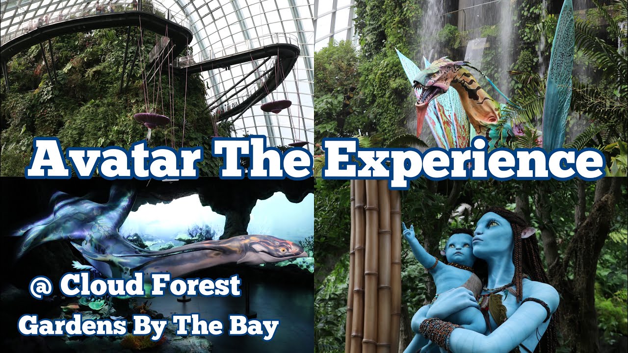 Avatar The Experience At Cloud Forest : Gardens By The Bay Singapore ...