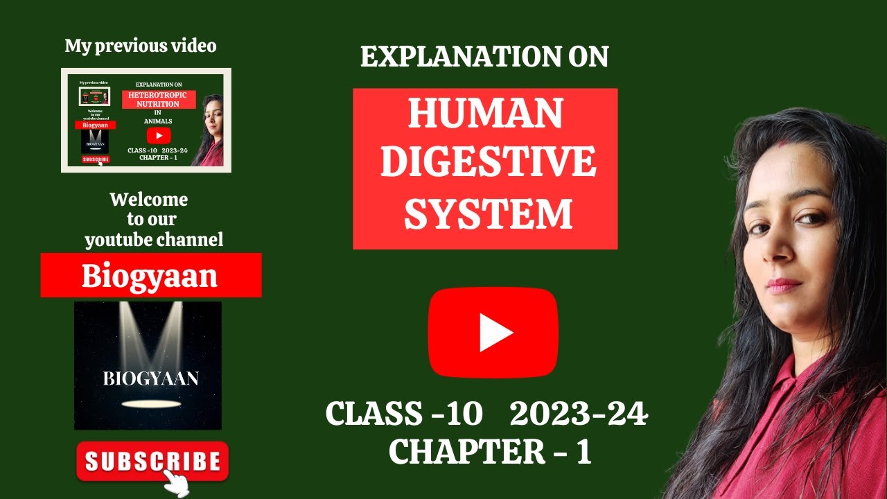 Human Digestive system | dental formula of human teeth | part of ...