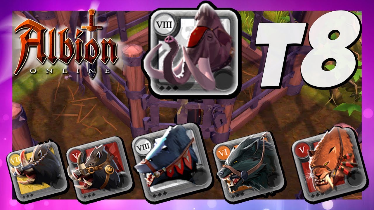 🐼 Mejor ANIMAL para CRIADOR de ANIMALES RAROS 🐤 en ALBION ONLINE - YouTube