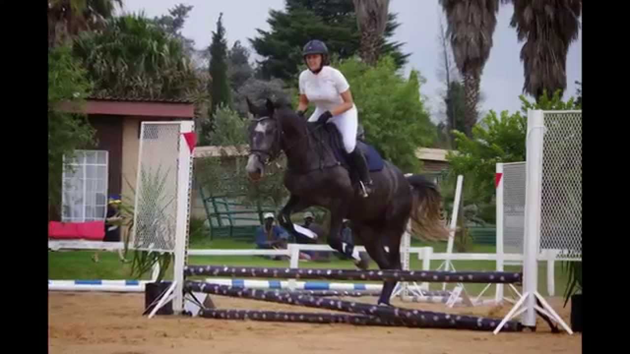 60cm Show Jumping Sankt Georg - YouTube