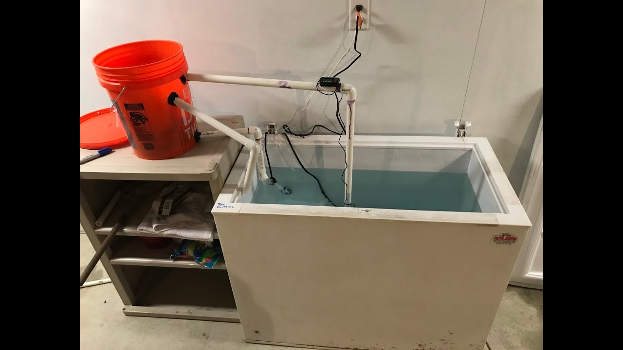 I made a BAIT TANK using a CHEST FREEZER!!!!!! - YouTube