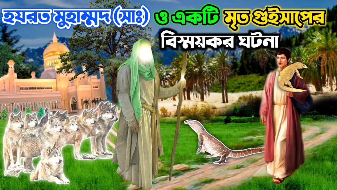 হযরত মুহাম্মদ সাঃ ও একটি মৃত্যু গুই সাপের বিস্ময়কর ঘটনা | hazrat ...