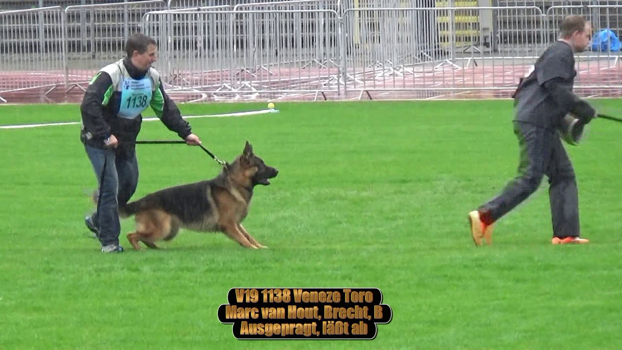 2017 SV BSZS in Ulm TSB part 29 V19 Veneze Toro - YouTube