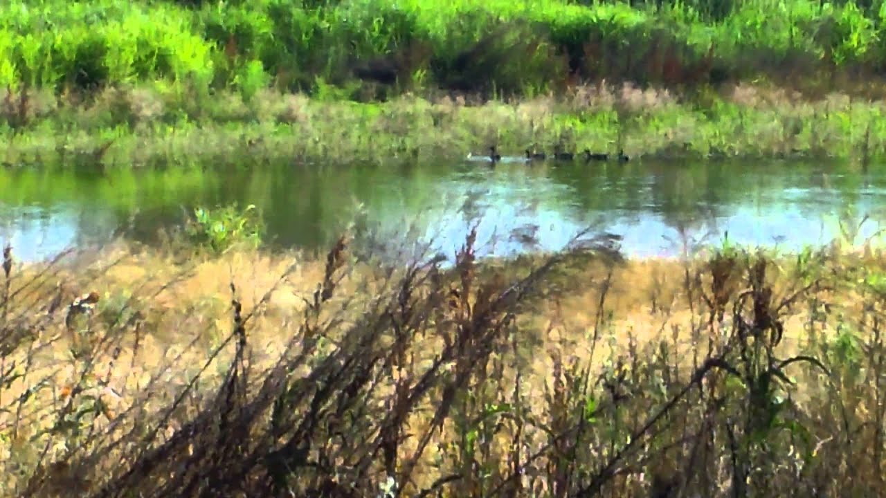 2013 St. John's River. Visalia . CA. USA - YouTube