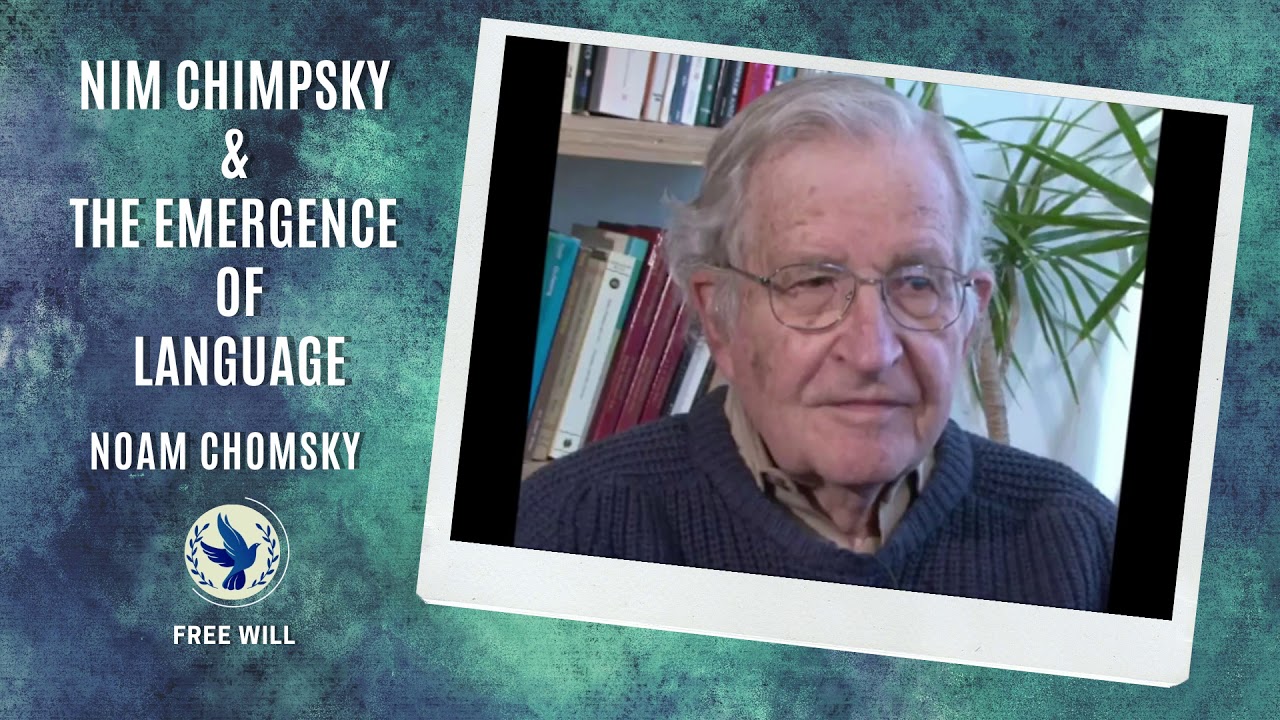 Nim Chimpsky & the Emergence of Language | Noam Chomsky - YouTube