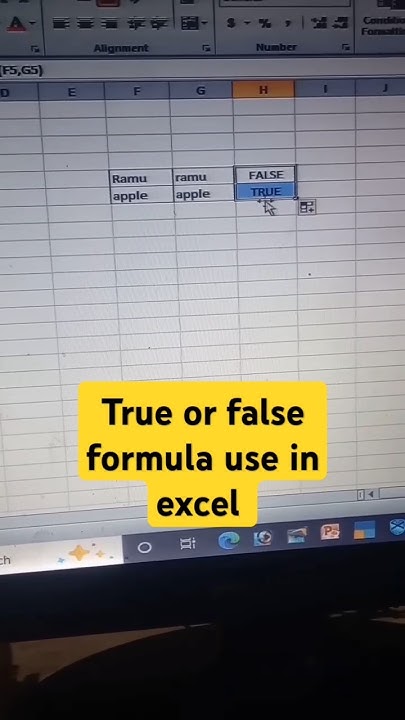 how to use true and false formula in excel true and false formula use ...