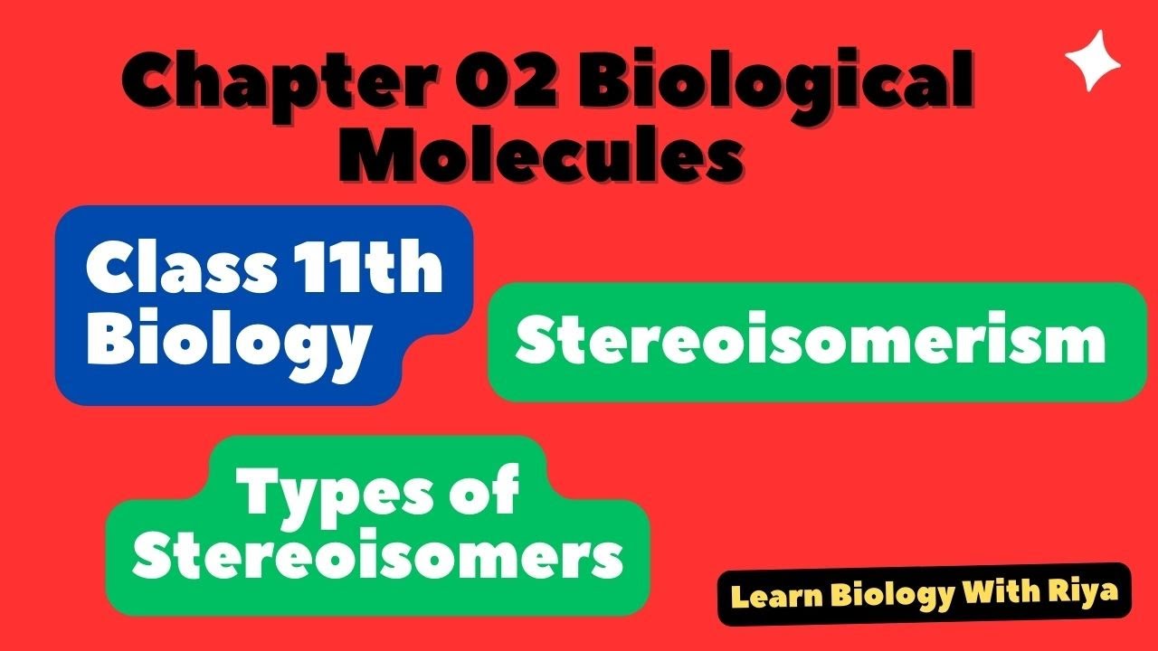 2.6 Stereoisomerism in Glucose class 11|Epimers and Enantiomers ...
