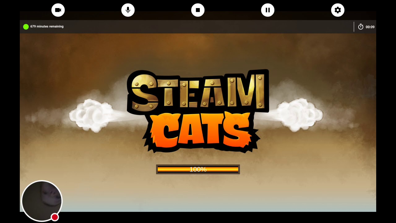 My Steam Cats Stream - YouTube