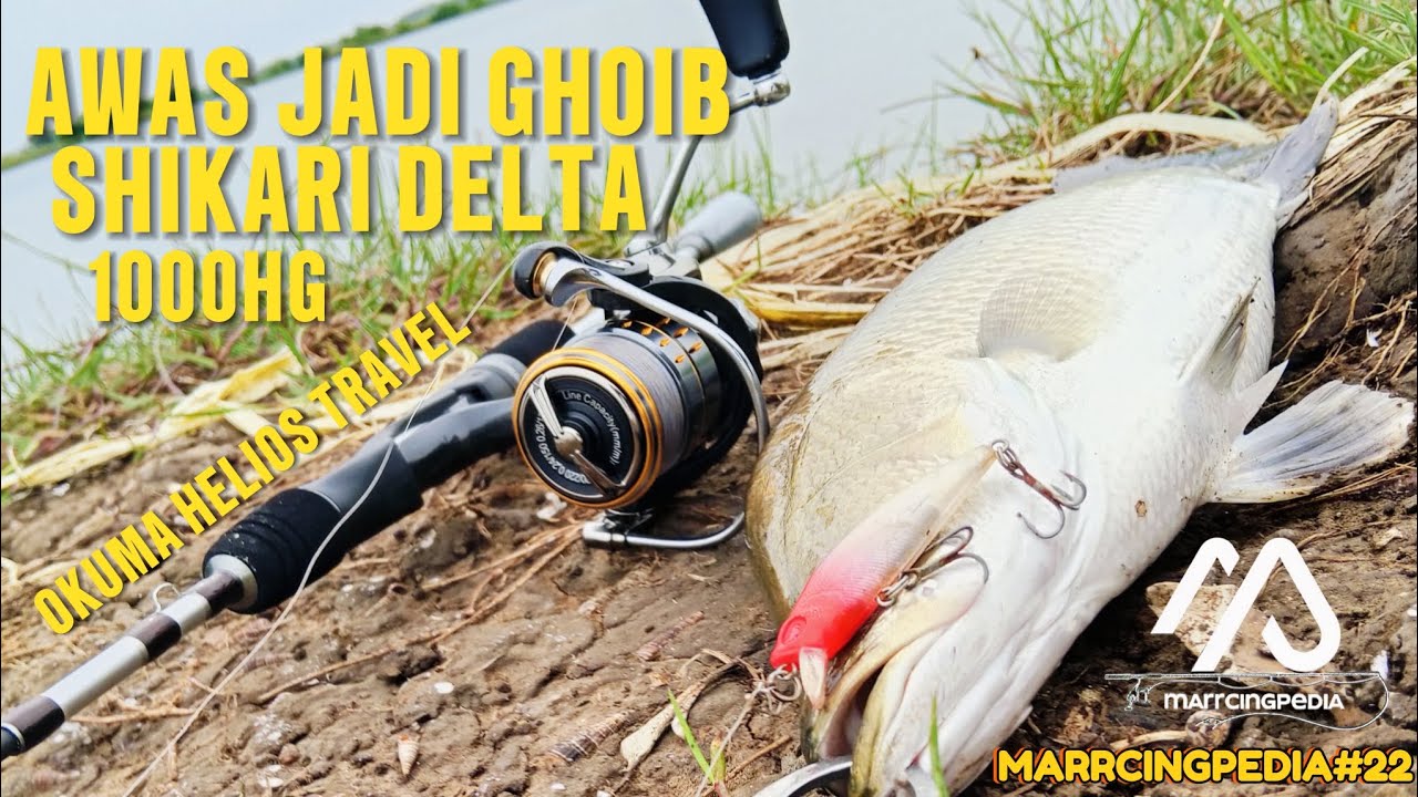 CALON REEL GHOIB Shikari Delta 1000HgSw reel ringan dengan duralium ...