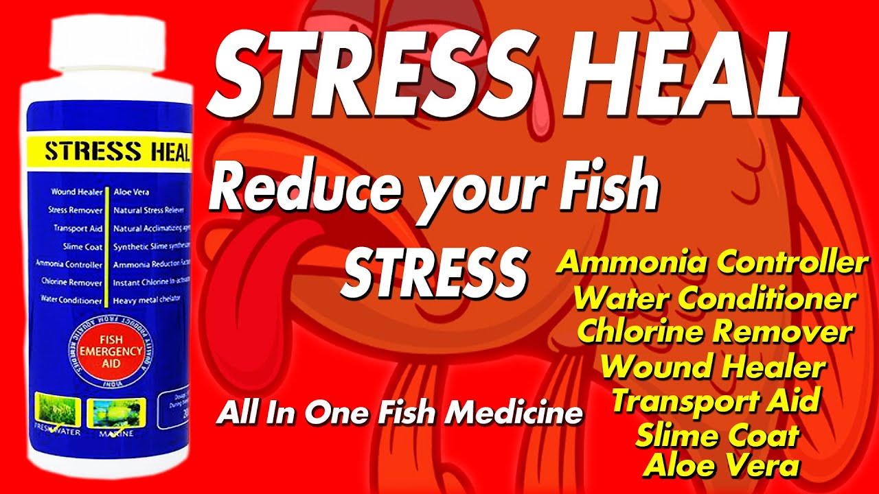 Stress heal medicine for fish | stress heal | How to use stress heal in ...