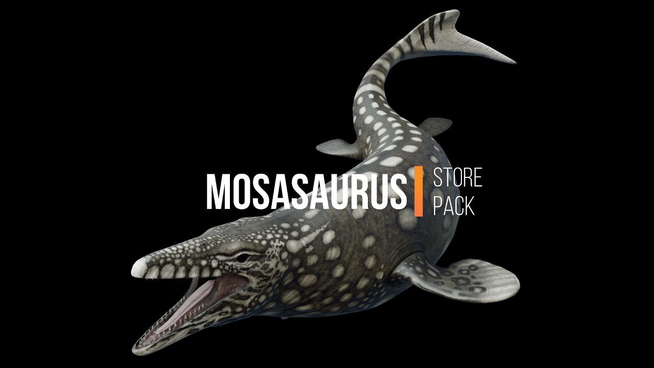 Mosasaurus Asset Showcase - YouTube