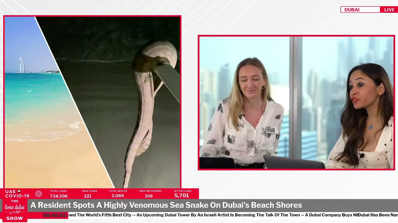 A Resident Spots A Venomous Sea Snake On Dubai’s Beach Shores - YouTube