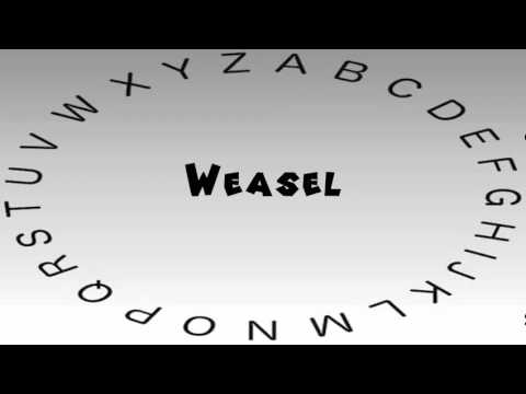 How to Say or Pronounce Weasel - YouTube