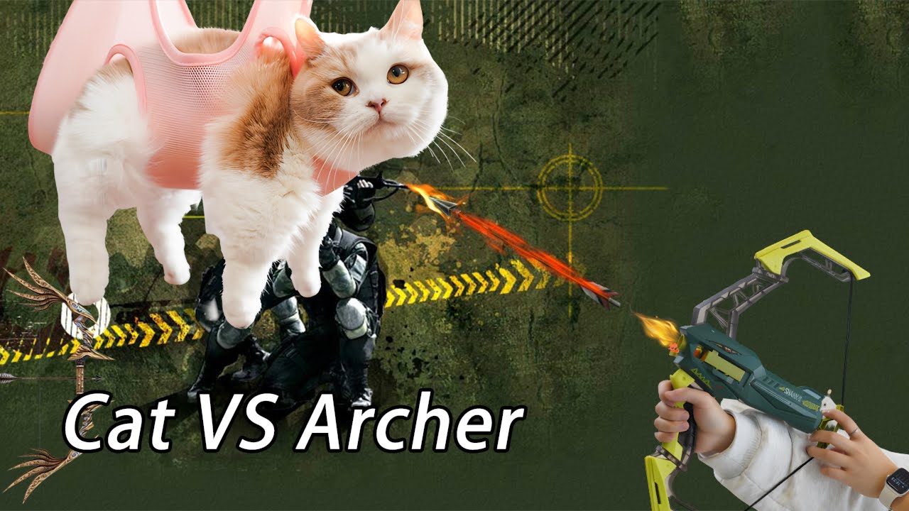 Cats Are Attracted By The Crossbow!🎉🎉猫たちと弓🤣| Funny Cat Reaction Studio😼 ...