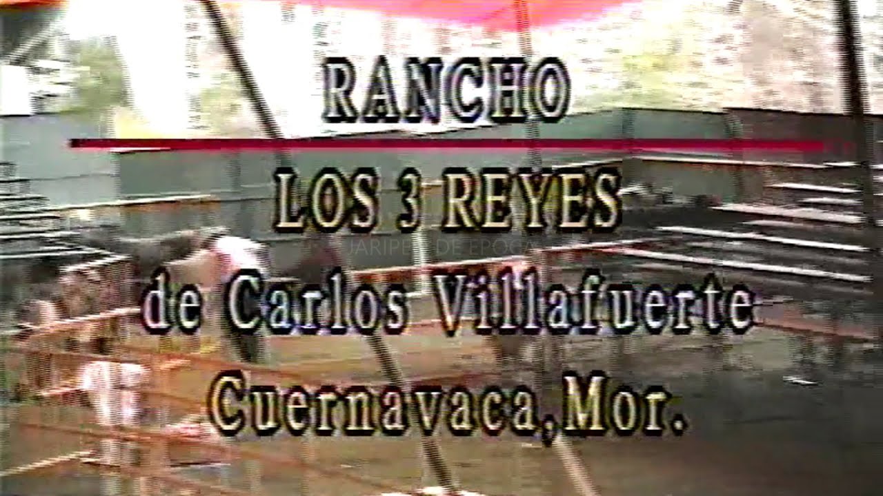 ESTOS HERMANOS JUNTOS ERAN DINAMITA LA BECERRA Y LA TERNERA DE SAN ...