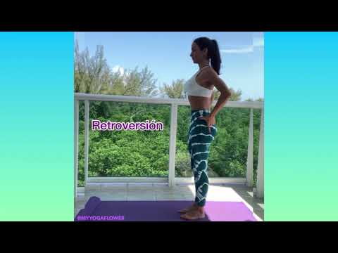 Anteversión y Retroversión de pelvis. Conceptos básicos para la ...