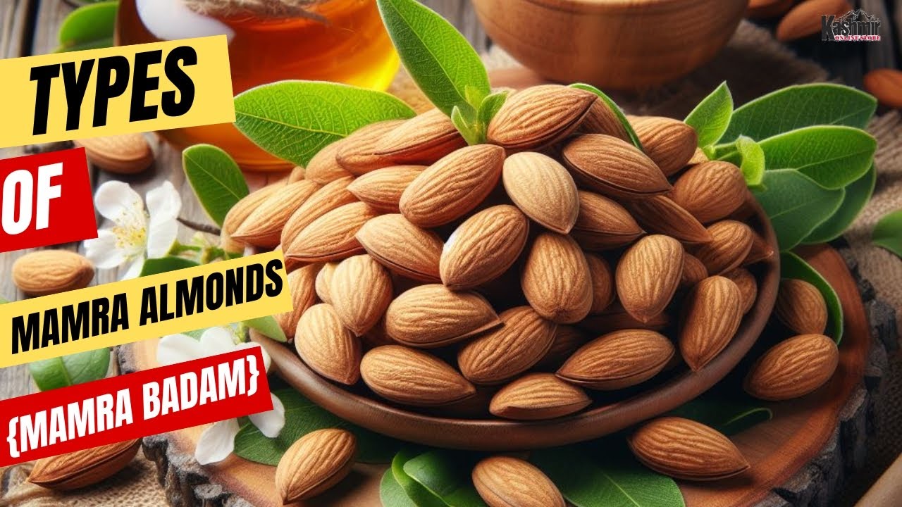TYPES OF MAMRA ALMONDS | (MAMRA BADAM) | KASHMIR ONLINE STORE - YouTube