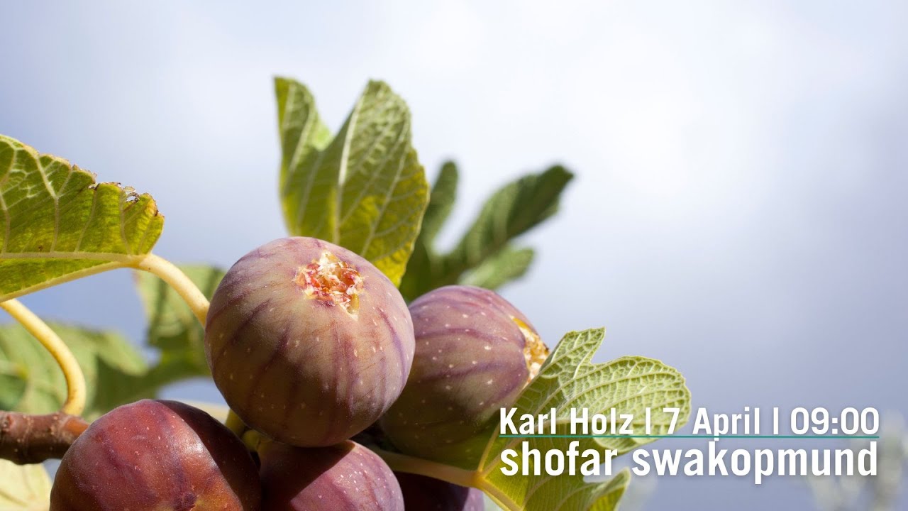 Karl Holz | Good news - YouTube