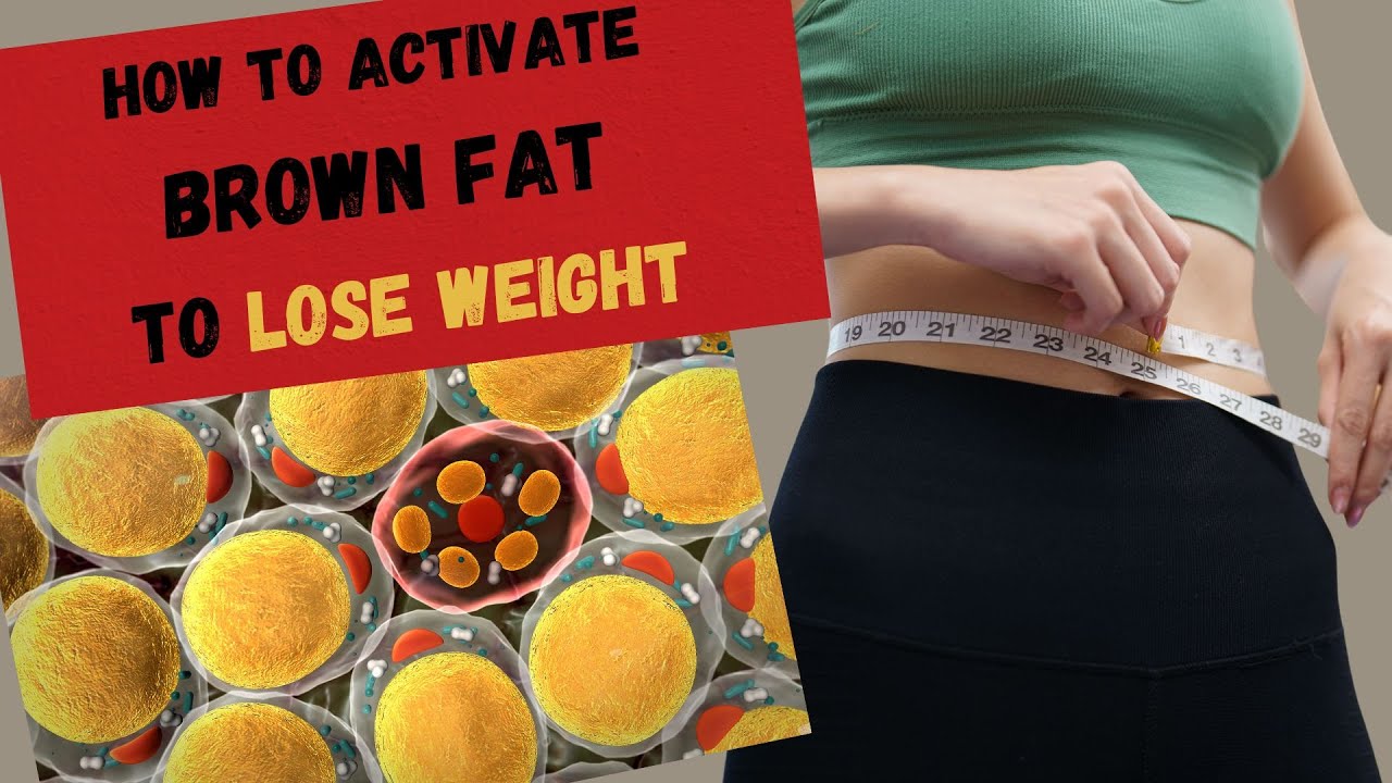 How to Activate Brown Fat to Lose Healthy Body Weight and Improve ...