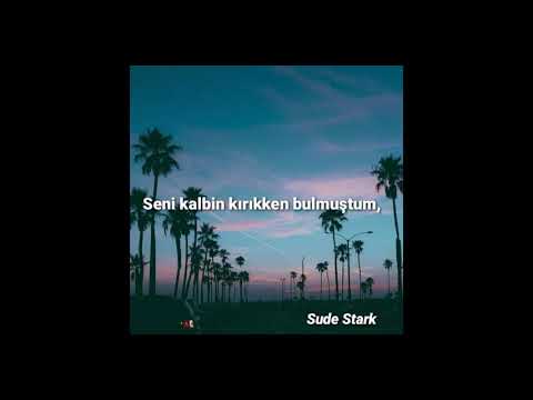Halsey-Without Me (Türkçe çeviri)