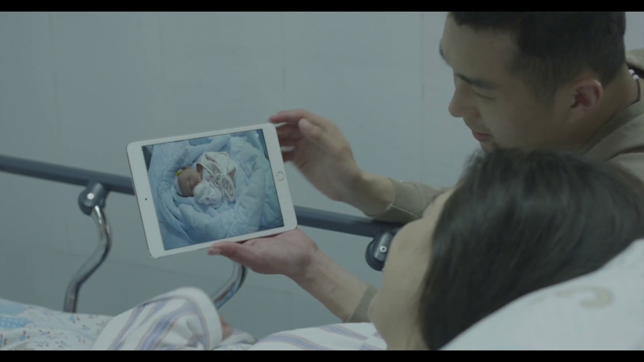 Comen High End Incubator B8 Function Video English Version - YouTube