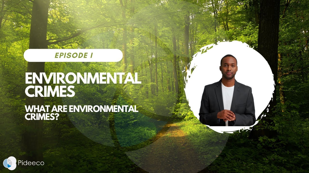 Environmental Crimes Episode I - What are Environmental Crimes - YouTube
