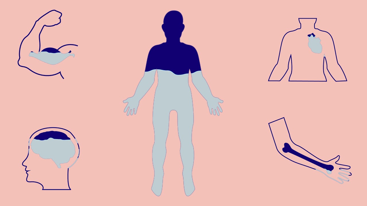 Hydration Infographic Animation - YouTube