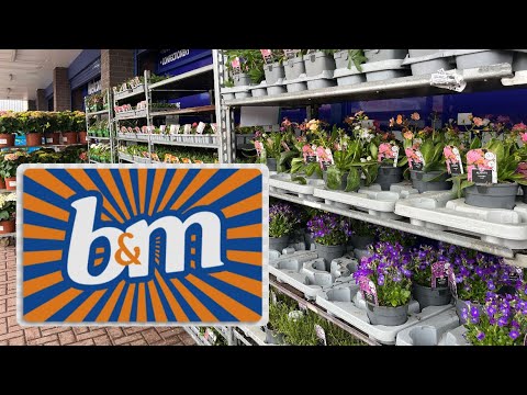New Plants at B&M. Plant Shopping made easy . #bargain #gardening #plants 