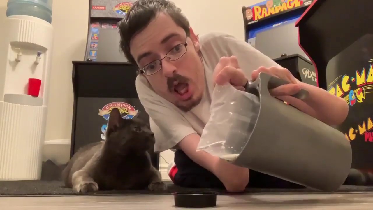 GIVING MY CAT MILK 🥛 - Ricky Berwick - YouTube