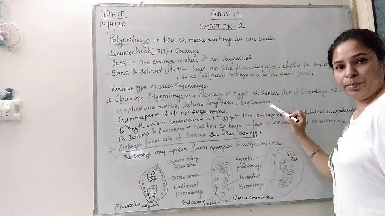 Class 12 Biology Ch 2 23 Polyembryo Development Part 1 - YouTube