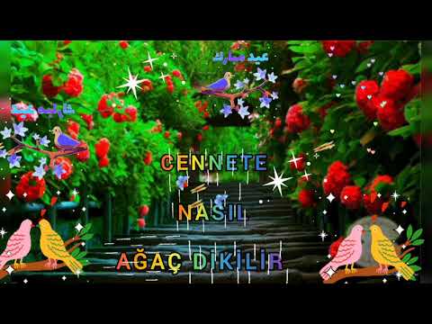 🌹Hayırlı Akşamlar🌹Dini Mesajlar🌹En Yeni🌹Resimli🌹🌹Sesli🌹En Güzel🌹 Dini Sözler Ve  Anlamlı  Videolar