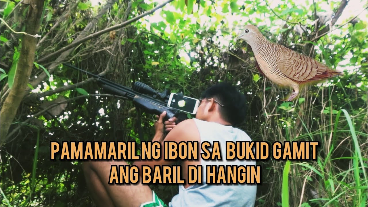 PAMAMARIL NG IBON SA BUKID GAMIT ANG BARIL DI HANGIN - YouTube