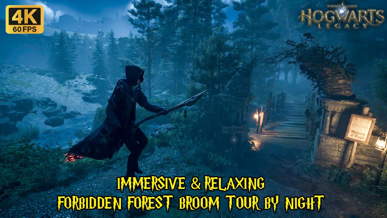 IMMERSIVE & RELAXING FORBIDDEN FOREST BROOM TOUR by NIGHT | Hogwarts Legacy 4K 60FPS - YouTube