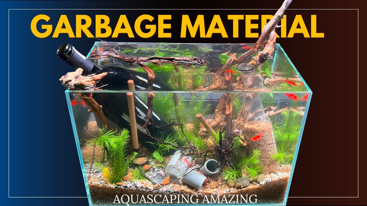 Tiger Barb Fish Tank Set up with Garbage "Material" | Under Water of ...