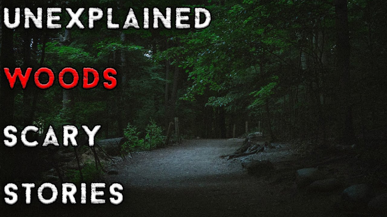 3 Unexplained True Deep Woods Scary Stories - YouTube