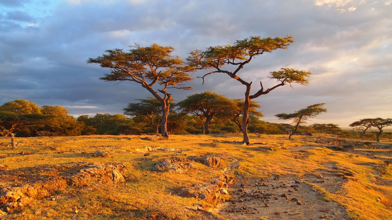 EVOs and Consciousness Research - Ken Shoulders No. 27 - 15th June 2025 ...