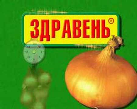 Здравень для лука и чеснока - YouTube