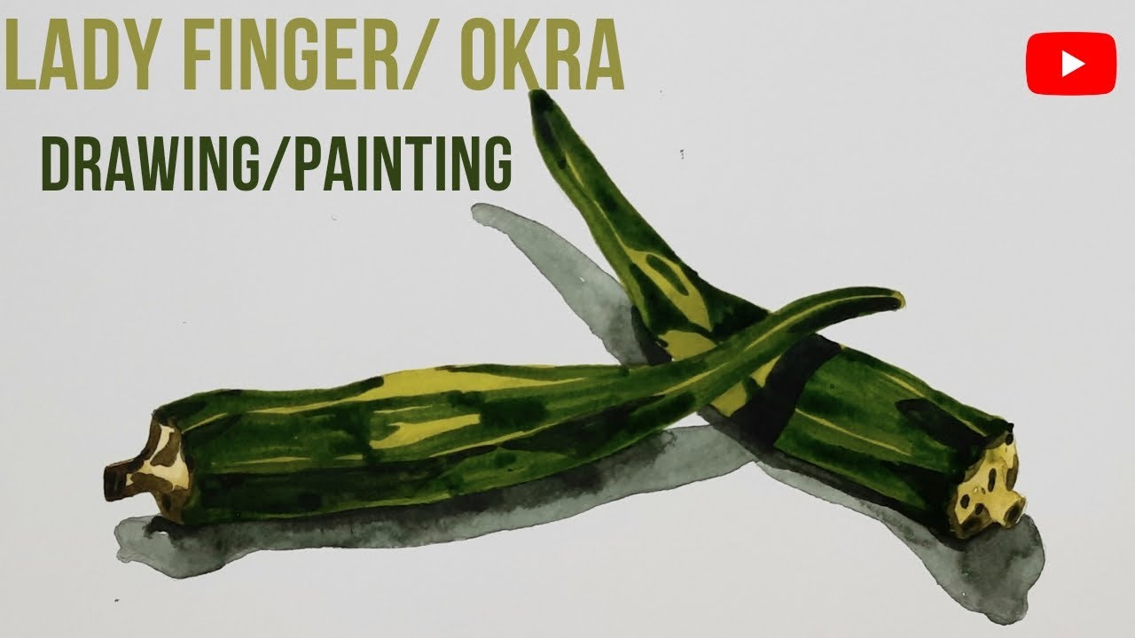 Okra Drawing