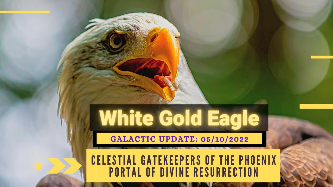 White Gold Eagle (Galactic Update) 05/10/2022 ~ Celestial Gatekeepers ...