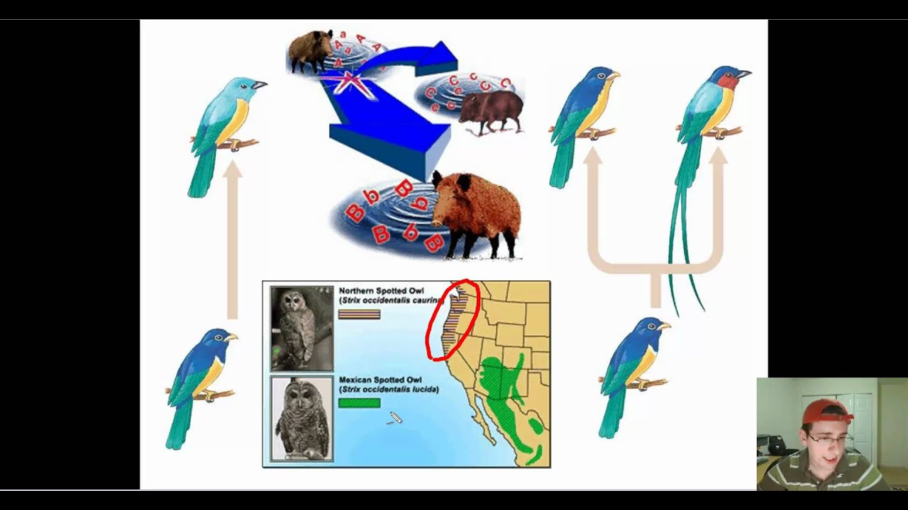 Isolation Evolution YouTube isolation-evolution-youtube