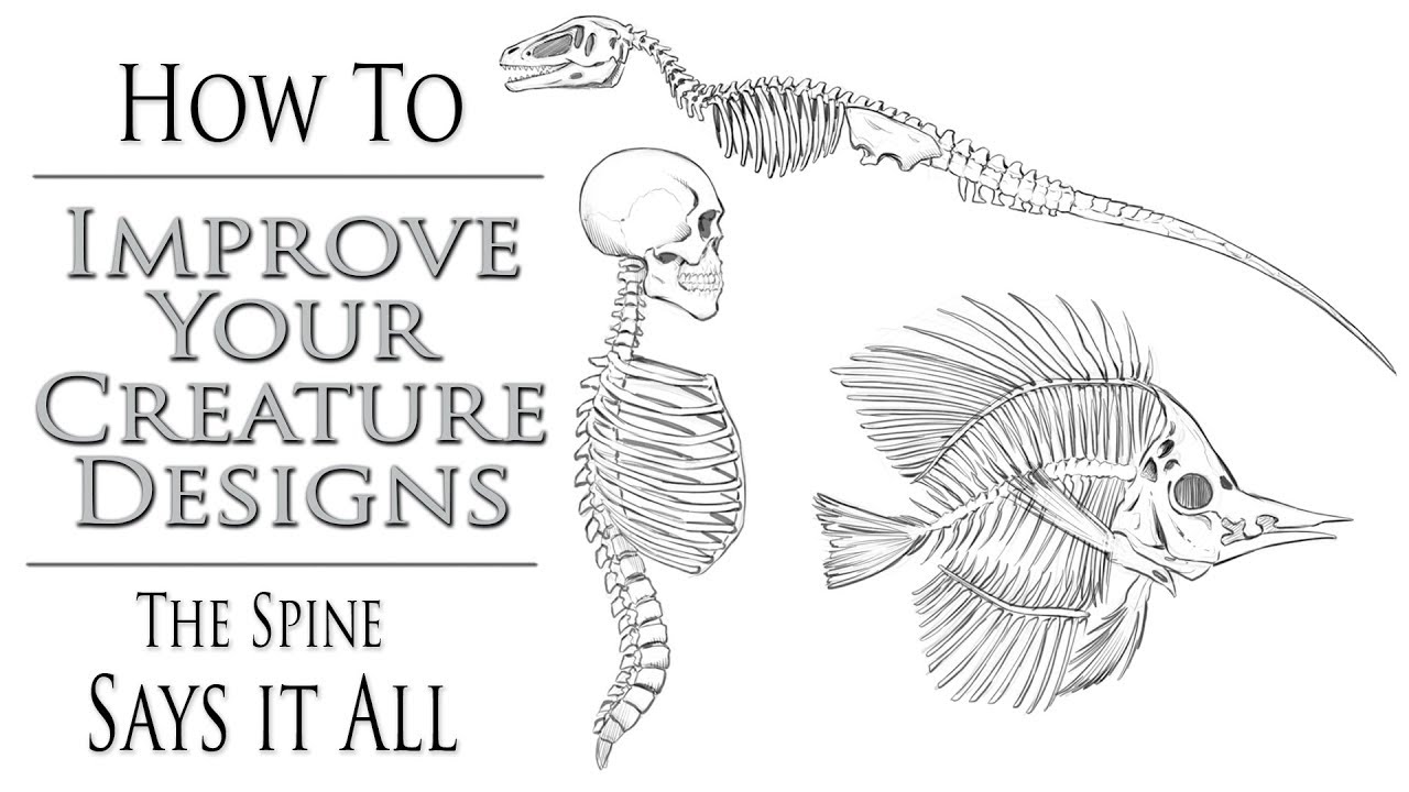 How to Improve Your Creature Designs - Lesson 1 - The Spine Says It All ...