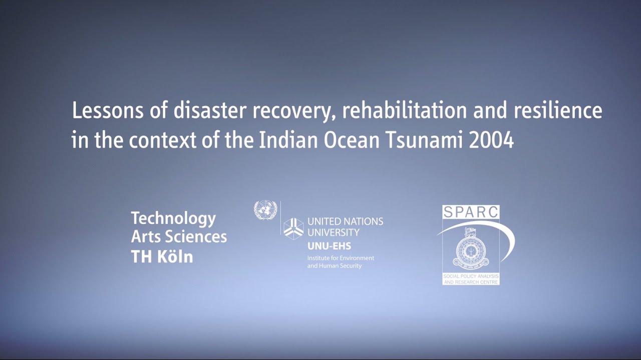 Lessons of disaster recovery and resilience in the context of the ...