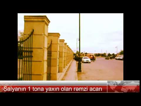 Salyanin 1 tona yaxın olan rəmzi acarı .