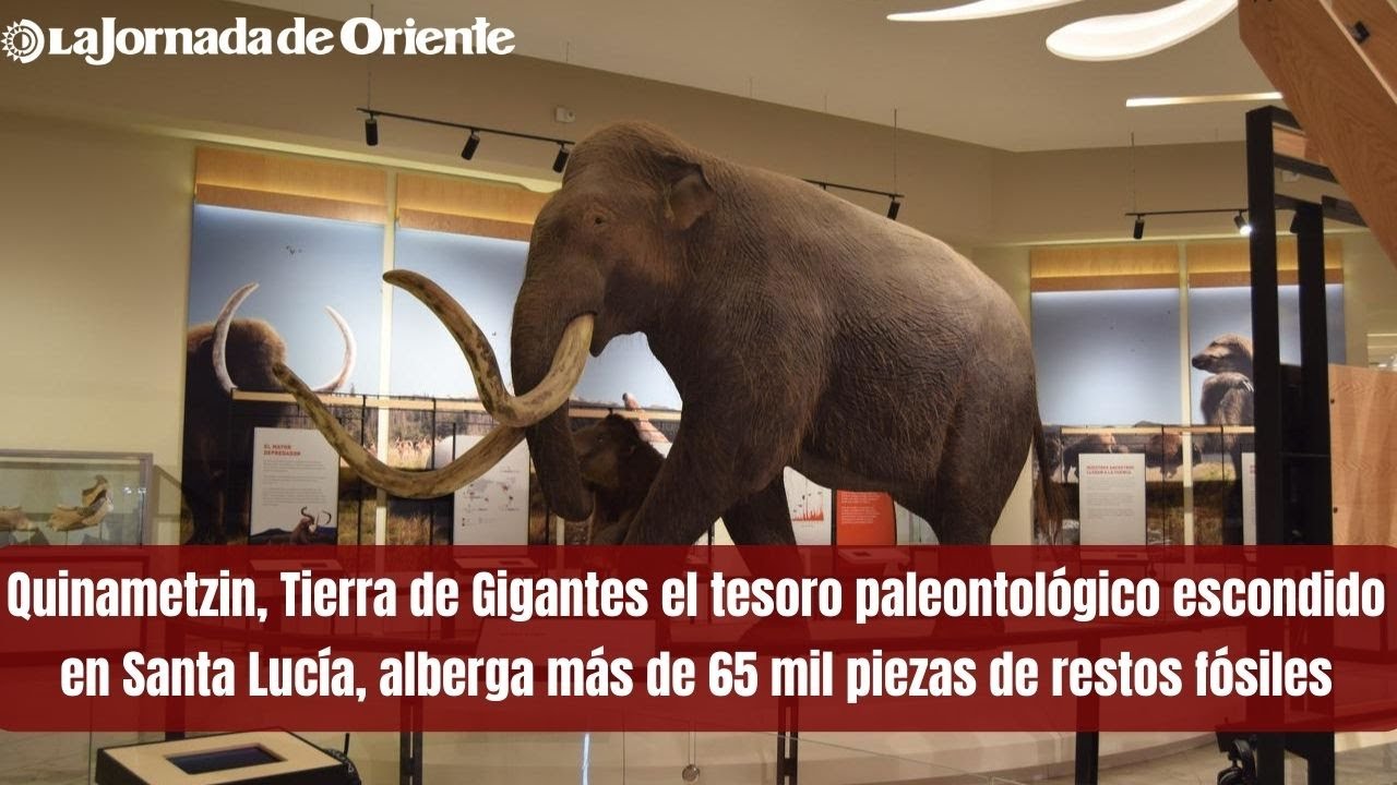 Quinametzin, Tierra de Gigantes el tesoro paleontológico escondido en ...