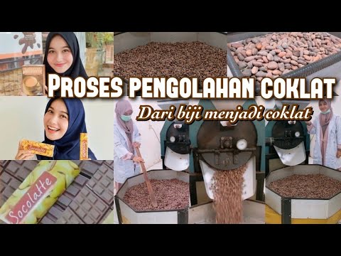 PROSES PEMBUATAN COKLAT DARI BIJI KAKAO... | PART 1 - YouTube