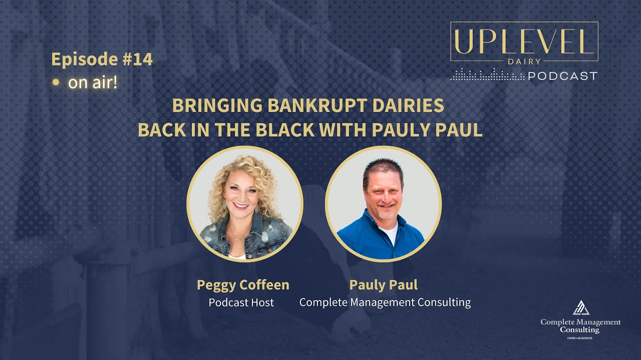 #14 - Bringing Bankrupt Dairies Back in the Black - Pauly Paul - YouTube