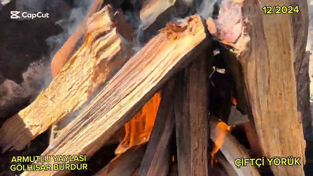 KÜÇÜKBAŞ CANLI HAYVAN FİYATLARI KOÇ / KUZU DOĞUMU #hayvancilik # ...